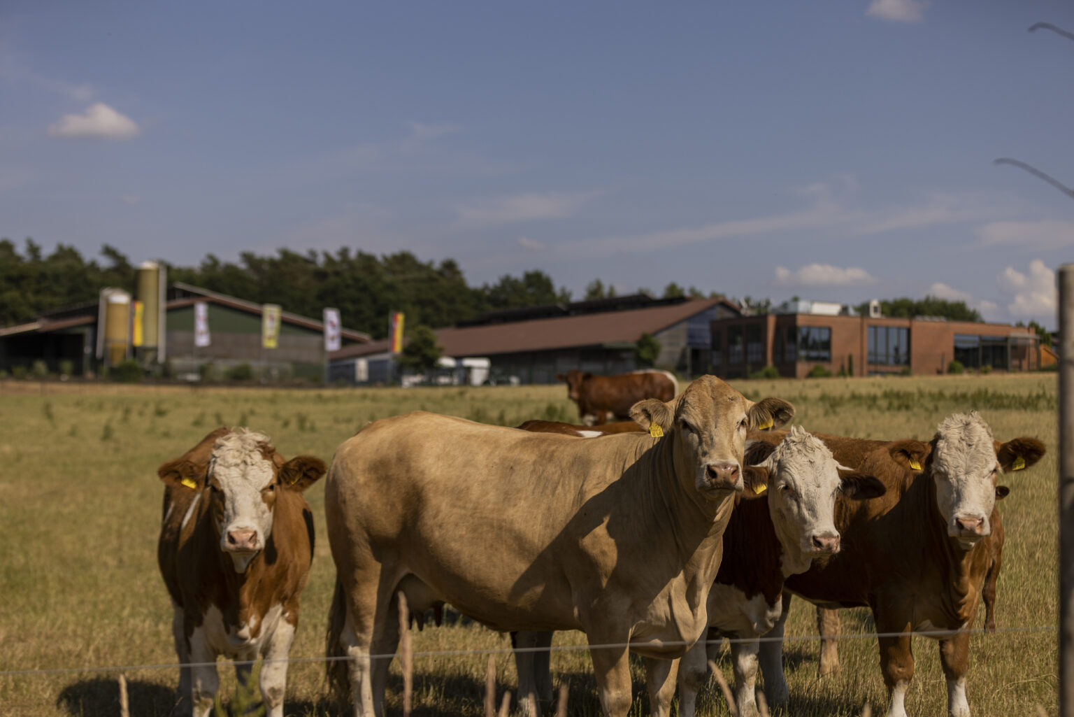 CHP Overhoff GmbH & Co. KG